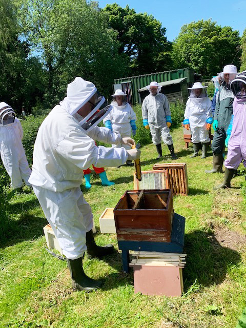South Staffordshire & District Beekeepers Association – Promoting and ...